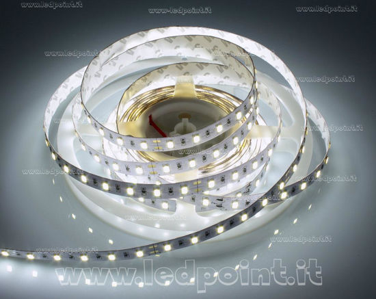 Ledpoint S.r.l. | Striscia led 5m bianco 4250-4500K 5630 60led/m Honglitronic 24V