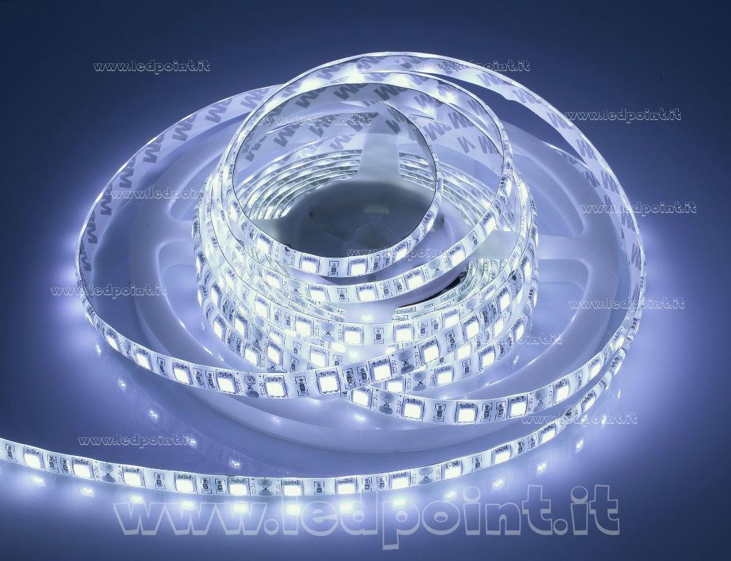 Ledpoint S.r.l. | Striscia led 5m bianco freddo 6000-6500K 5050 60led/m ...