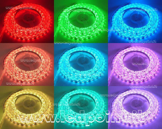 Ledpoint S.r.l. | Striscia led 5m RGB 5050 60led/m PCB bianco IP65 Honglitronic