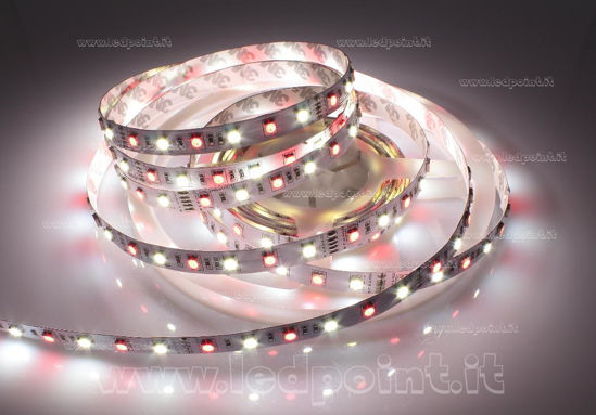 Ledpoint S.r.l. | Striscia led 5m RGB + bianco 4000K 5050 300 led (60led/m) Honglitronic