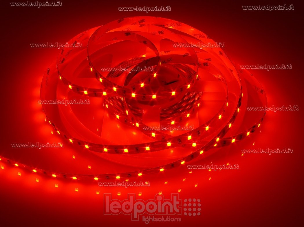 Ledpoint S.r.l. | Striscia led 5m rosso 2835 60led/m 12V 14,4W/m