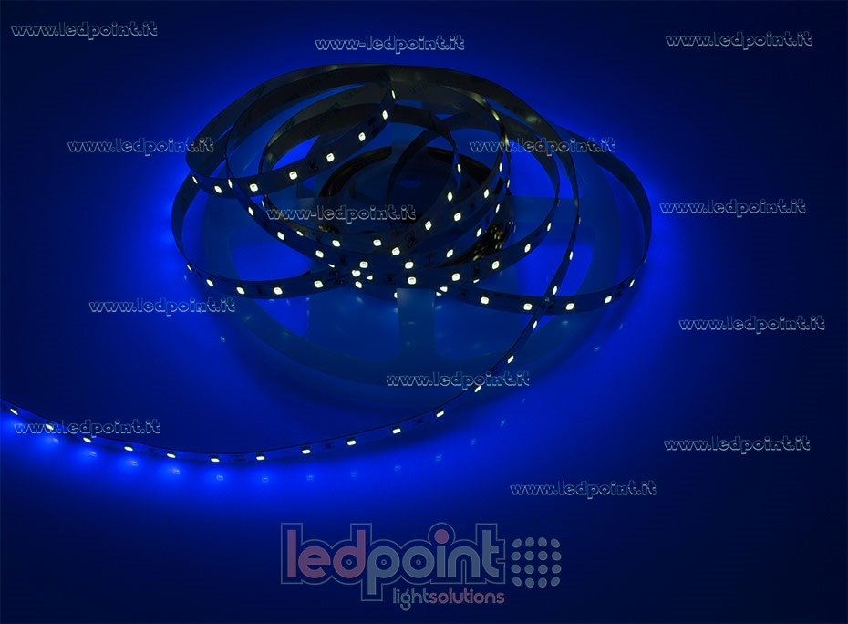 Ledpoint S.r.l. | UV 365nm LED strip 5m 60leds/m 2835, 24V 13,3W/m