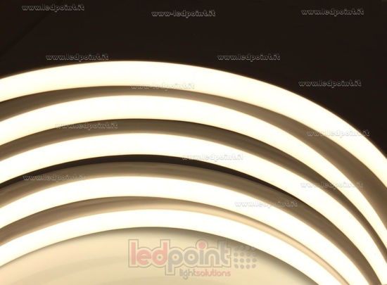 Ledpoint S.r.l. | Led Neon Flex 17mm warm white 3000K 3528 24V 9W ...