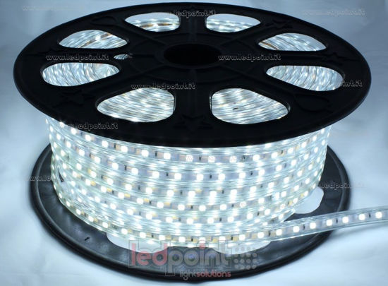 Ledpoint S.r.l. | LED strip 50m cool white 6000-6500K, IP65, 60leds/m ...