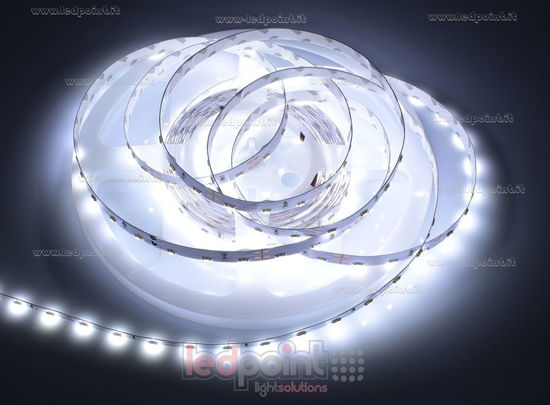 Ledpoint S.r.l. | LED strip 5m cool white 6000-6500K 60leds/m 335 12V 4 ...