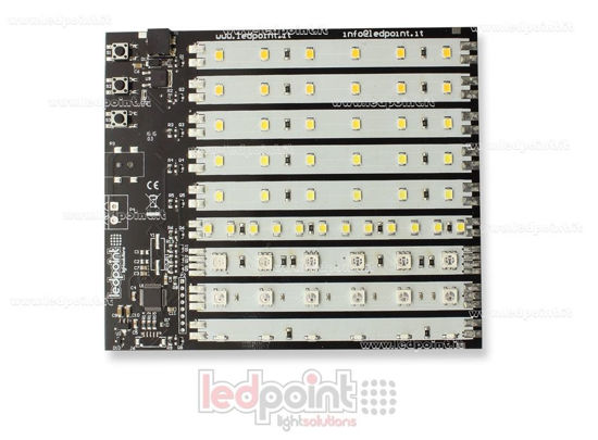 Ledpoint S.r.l. | Stand-alone display with 9 LED strips models