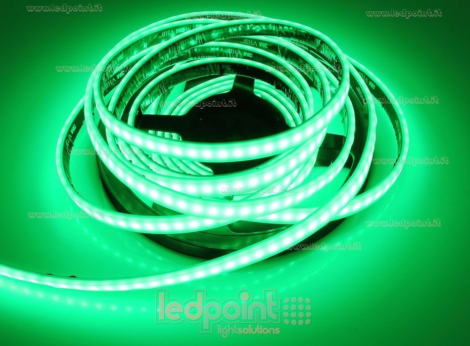 Ledpoint S.r.l. | Strip led 5m green 2838 120led/m 24V 12W/m, IP67 ...