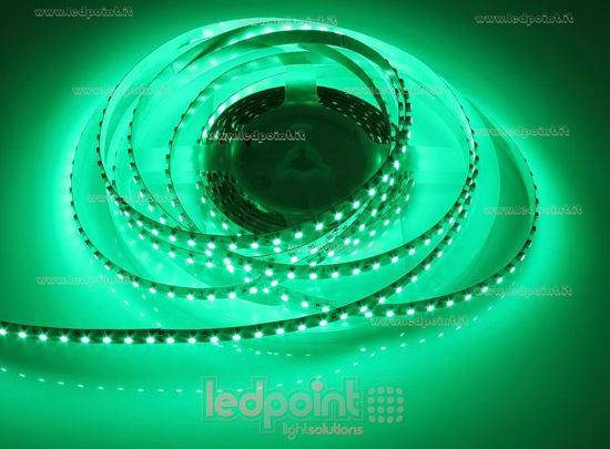Ledpoint S.r.l. | Green LED strip 5m 120leds/m 3528 24V 9,6W/m