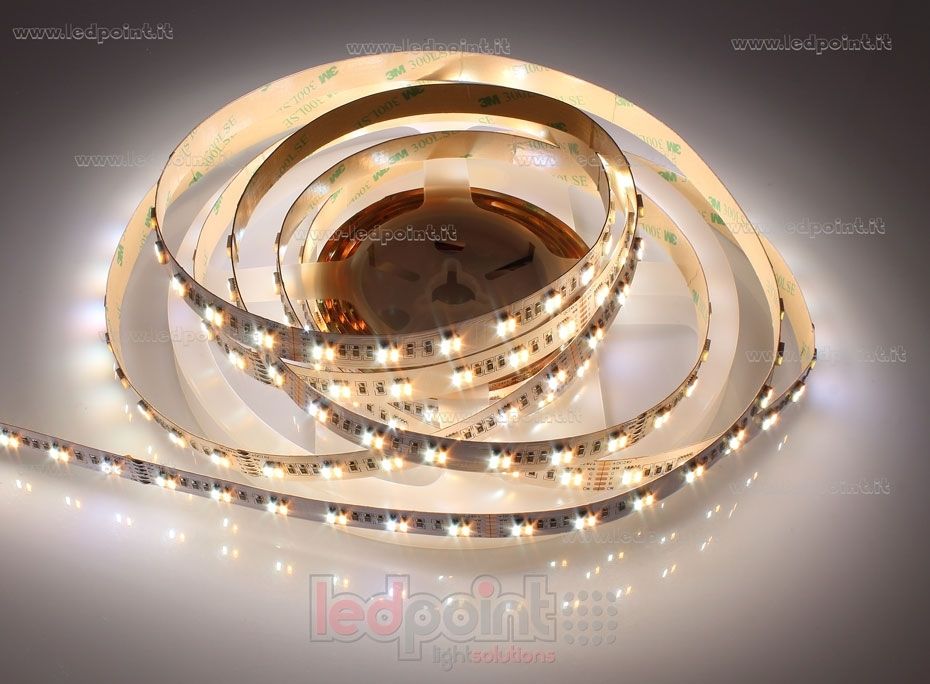 Ledpoint S.r.l. | Striscia led 5m RGB CCT 5050 5 in 1 2500-6000K 60led ...