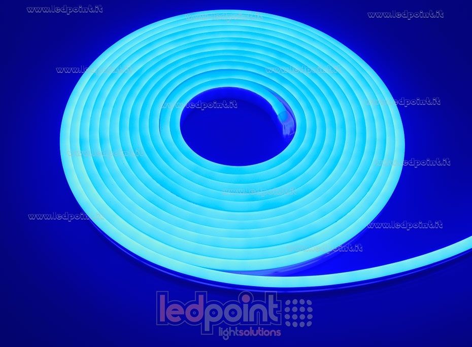 Ledpoint S.r.l. | Led Neon Flex 6mm blue 2835 12V 9,6W 120led/m IP65 5m