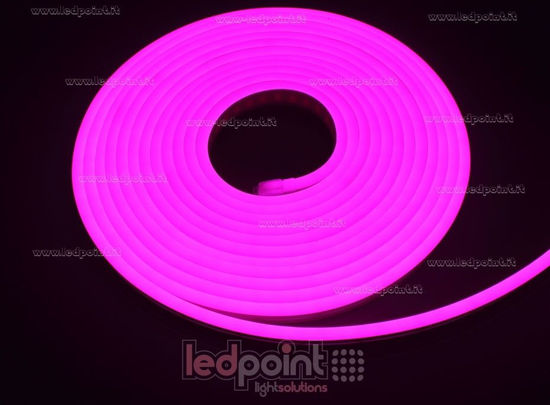 Ledpoint S.r.l. | Led Neon Flex 6mm pink 2835 12V 9,6W 120led/m IP65 5m