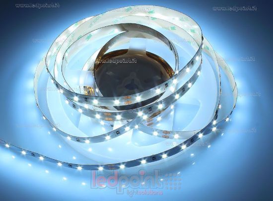 Ledpoint S.r.l. | White led strip | Led strip 6500K