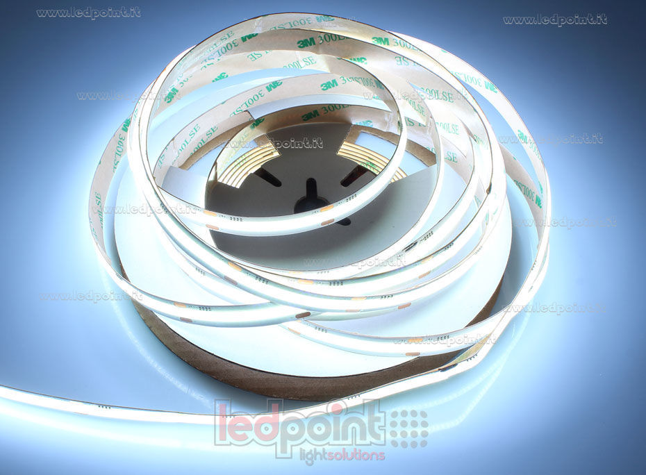 Ledpoint S.r.l. | COB LED strip cool white 5m 6000K CRI Ra>90 504led/m ...