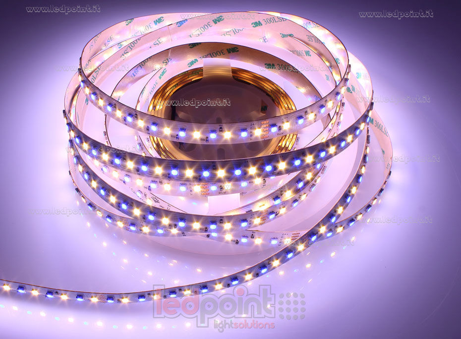 Ledpoint S.r.l. | Striscia led 5m RGB 3838 + bianco caldo 3000K 3step ...