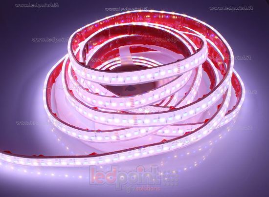 Ledpoint S.r.l. | 3838 RGB + 2835 warm white 3000K 3step led strip 5m ...