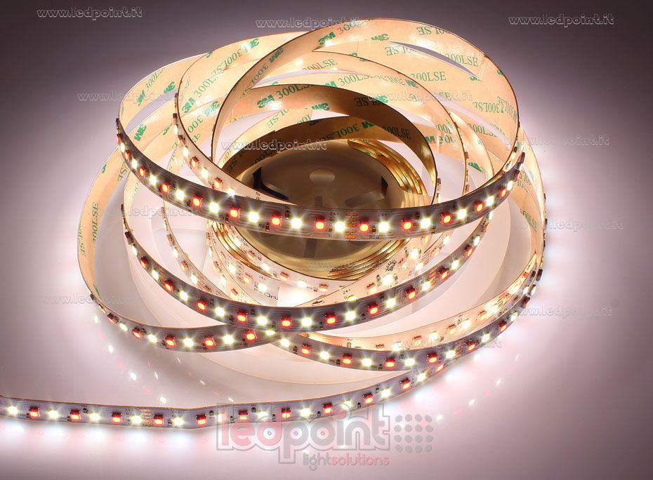 Ledpoint S.r.l. | Striscia led 5m RGB 3838 + bianco 4000K 3step 2835 140led/m Honglitronic 24V ...