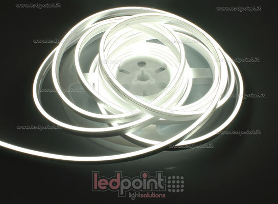 Ledpoint S.r.l. | Led Neon Flex 4mm white 4000K 2835 24V 9,6W 120led/m ...