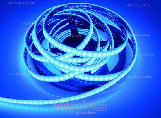 Ledpoint S.r.l. | Striscia led 5m blu 2835 120led/m Honglitronic 24V 13,3W/m, IP67 silicone ...