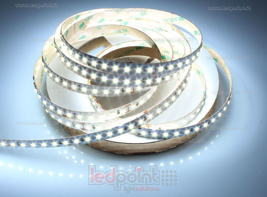 Ledpoint S.r.l. | Striscia led 5m bianco 5000-5400K 2835 120led/m 24V 24W/m