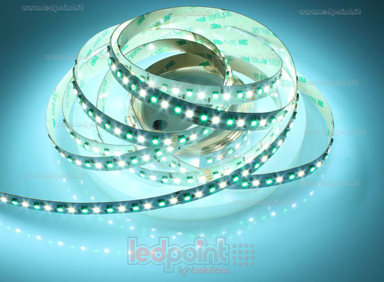 Ledpoint S.r.l. | 3838 RGB + 2835 cool white 6000K 3step led strip 5m ...