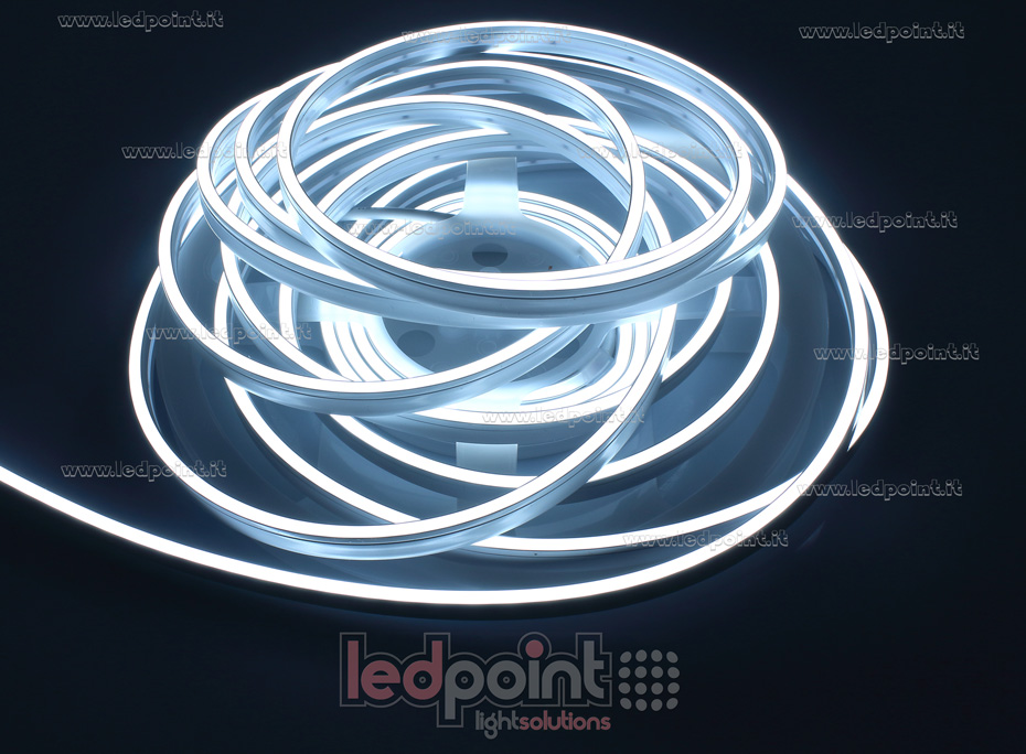 Ledpoint S.r.l. | Led Neon Flex 4x8mm cool white 6000K 2835 12V 9,6W ...