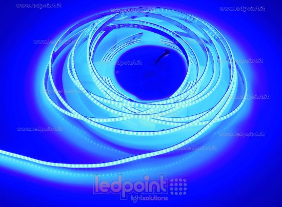 Ledpoint S.r.l. | COB LED strip blue 5m 320leds/m 24V 6W/m, 5mm PCB