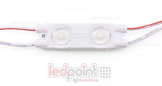 Ledpoint S.r.l. | Modulo 2 led 2835, 0,72W 12V, bianco freddo 6000 ...