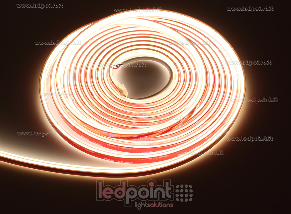 Ledpoint S.r.l. | COB LED strip warm white 5m 3000K CRI Ra>90 486leds/m ...