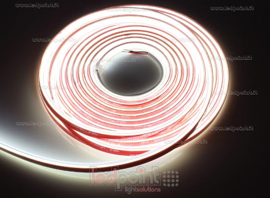 Ledpoint S.r.l. | COB LED strip white 5m 4000K CRI Ra>90 486led/m 12V ...