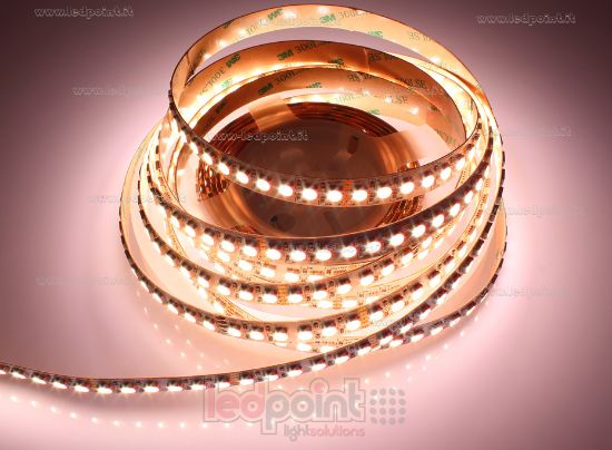 Ledpoint S.r.l. | Striscia led 5m 5050 4in1 RGB + bianco 4000K 120led/m 24V 9W/m+14,4W/m