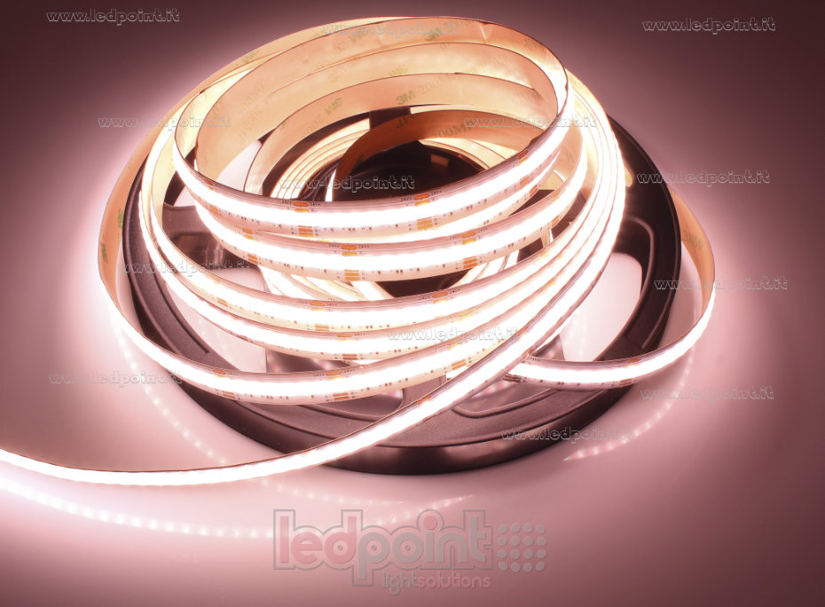 Ledpoint S.r.l. | Striscia led 5m RGB + bianco 4000K COB CRI Ra>90 840led/m 24V 20W/m