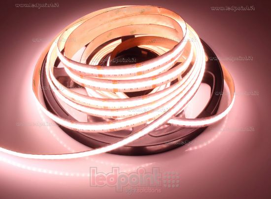 Ledpoint S.r.l. | COB RGB + white 4000K led strip CRI Ra>90 840led/m ...