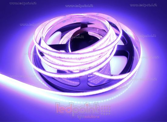 Ledpoint S.r.l. | COB RGB + white 3000K led strip CRI Ra>90 840led/m ...
