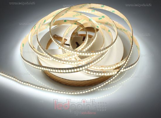 Ledpoint S.r.l. | Striscia led 5m bianco 4000K 3step 2835 240led/m Parylene IP65 24V 19,2W/m