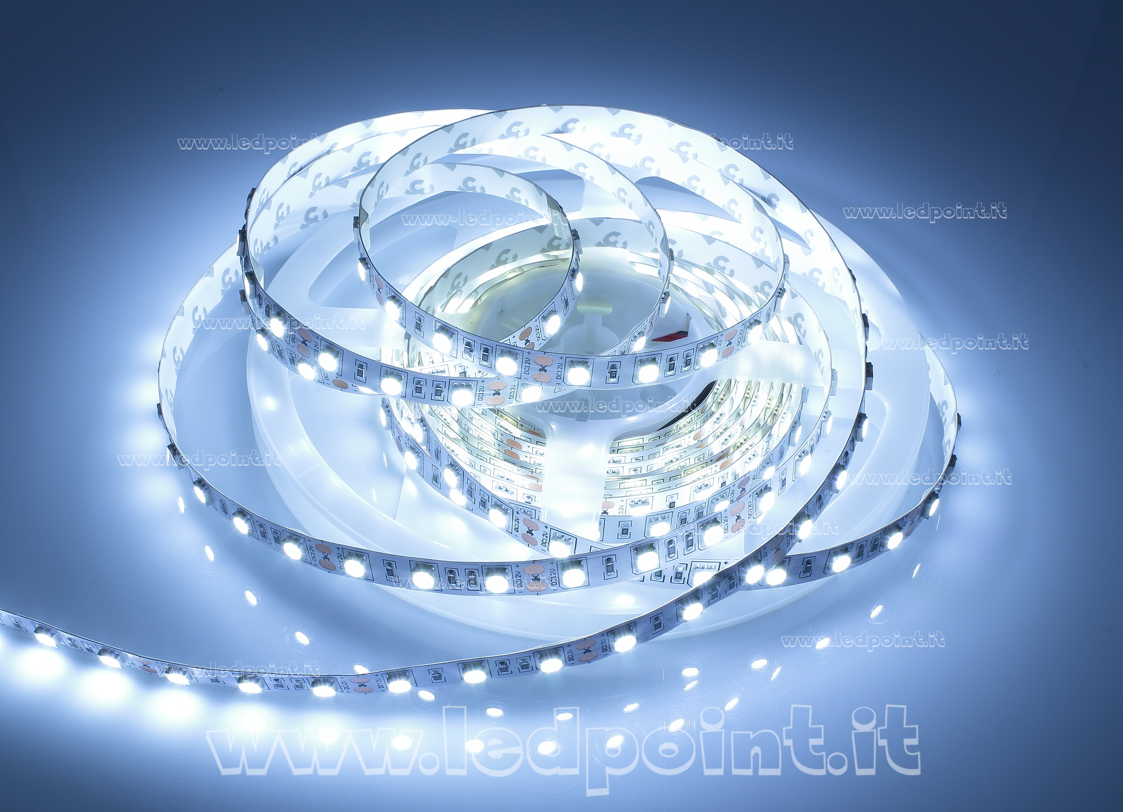 Ledpoint S.r.l. | LED strip 5m cool white 9000-12000K 5050 60led/m IP67 ...