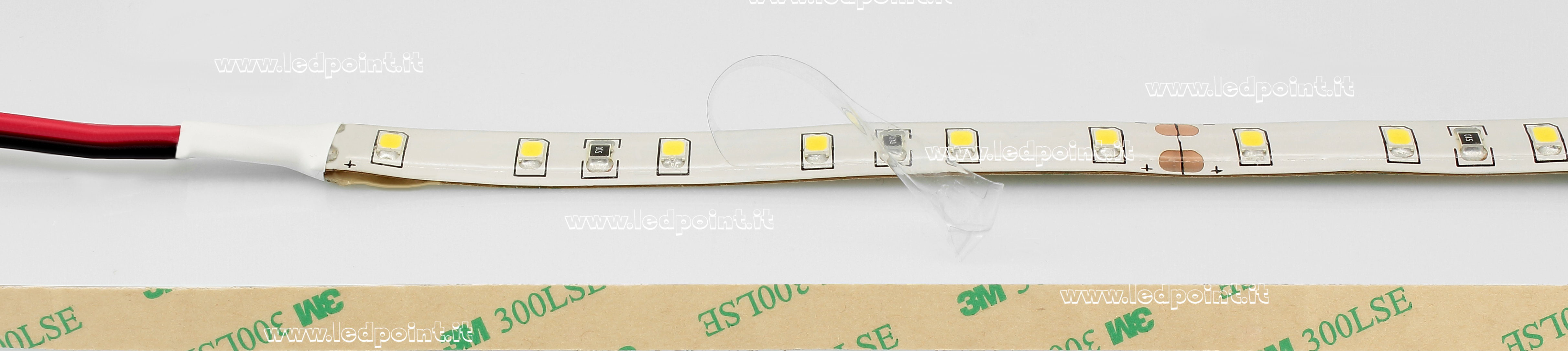 Ledpoint S.r.l. | LED strip warm white 3000-3100K 60leds/m IP65 2835 ...