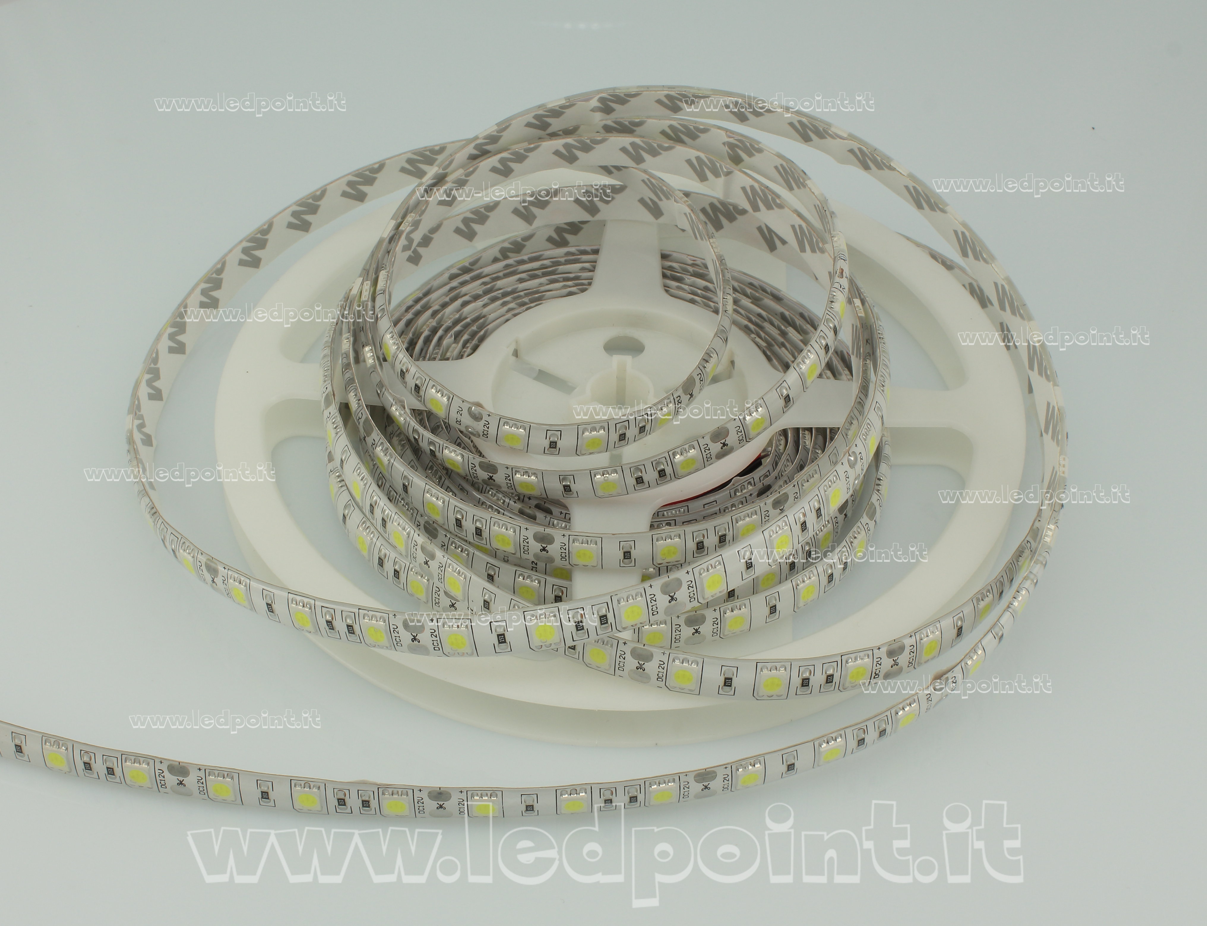 Ledpoint S.r.l. | Striscia led 5m bianco freddo 6000-6500K 5050 60led/m IP65 Honglitronic 12V