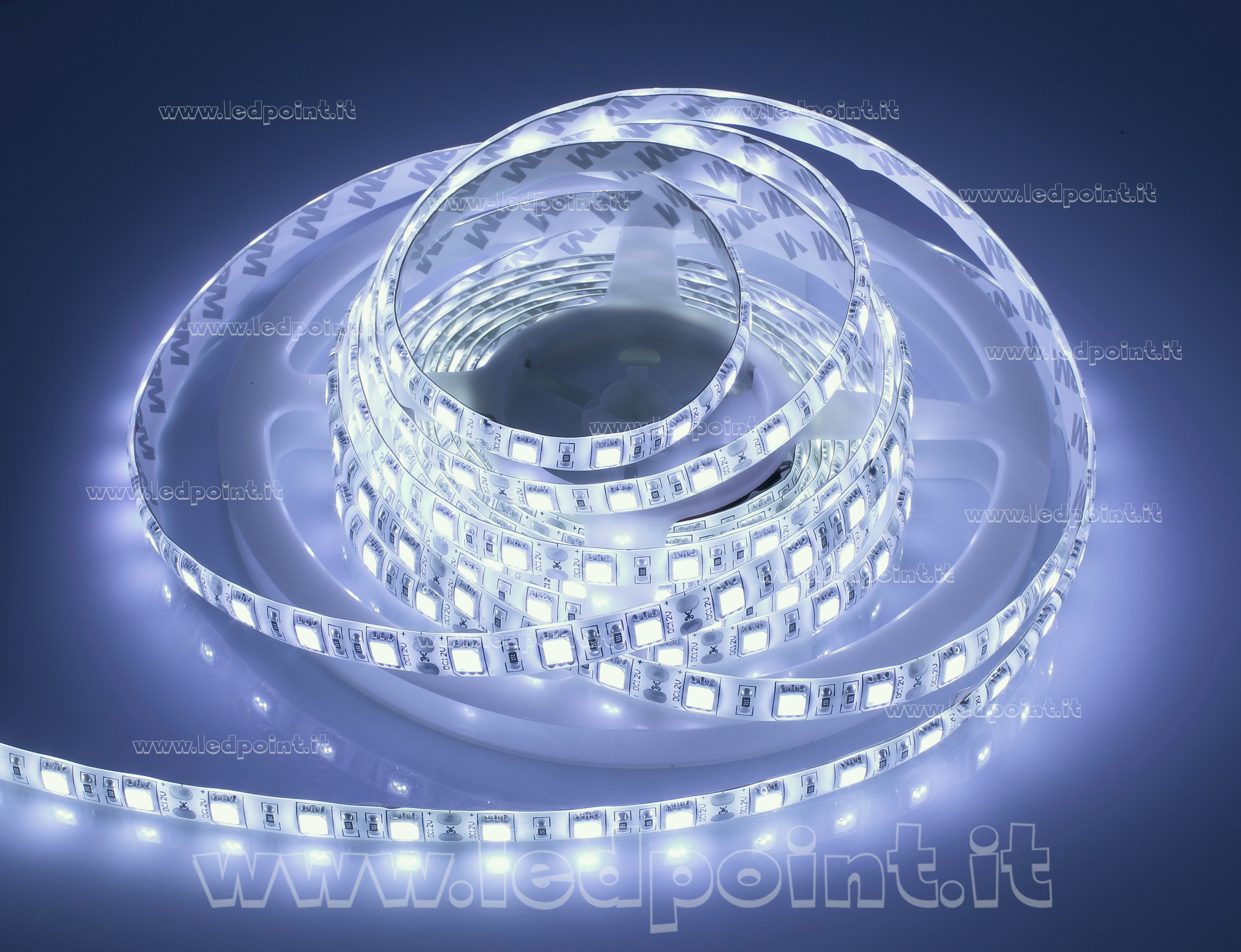 Ledpoint S.r.l. | Striscia led 5m bianco freddo 6000-6500K 5050 60led/m IP65 Honglitronic 12V