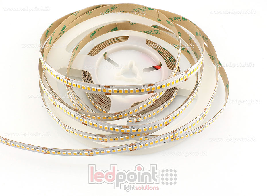 Ledpoint S.r.l. | Striscia led 5m bianco caldo 3000K 3step 2835 240led/m 24V 14,4W/m
