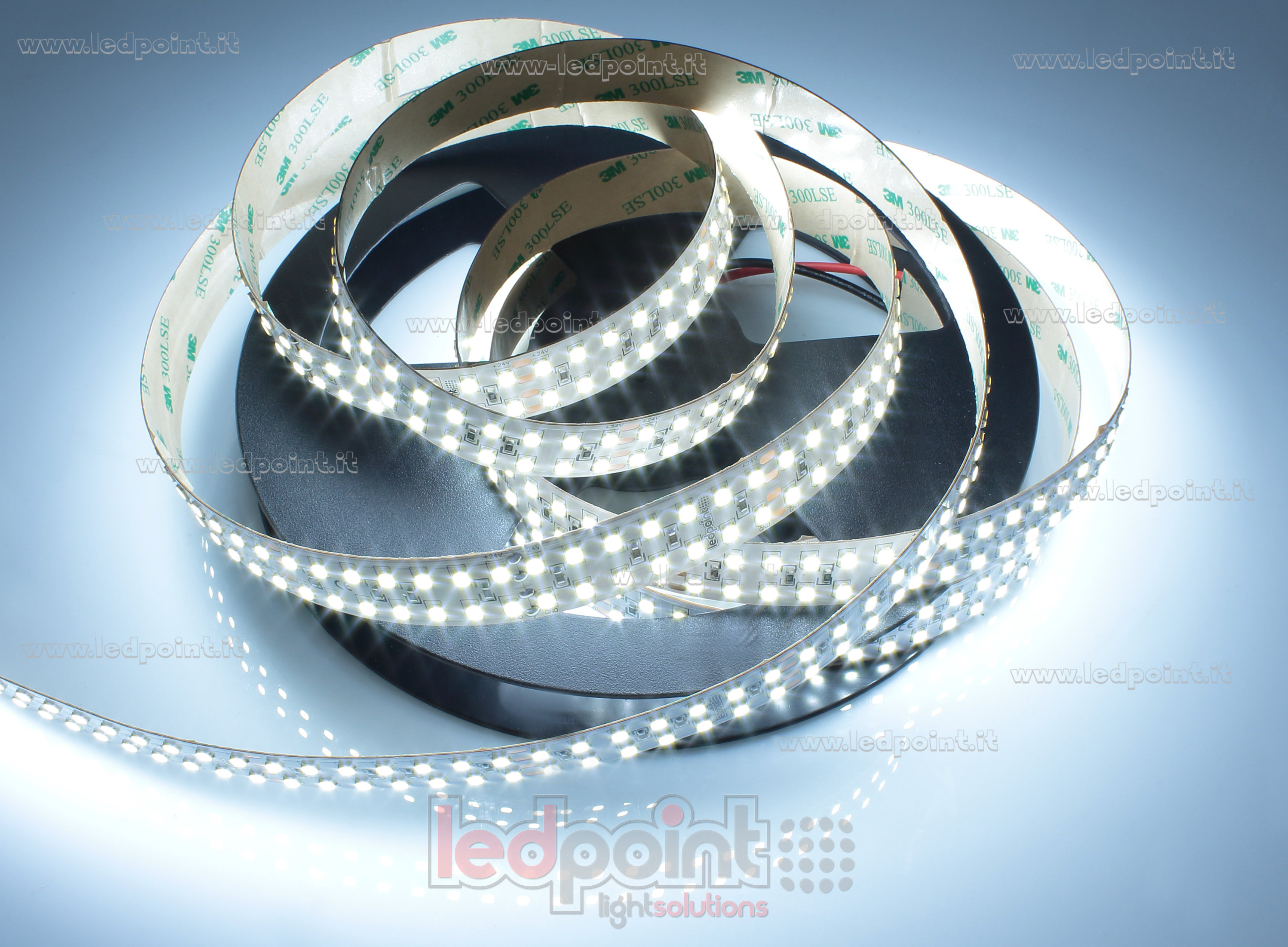 Ledpoint S.r.l. | LED strip 5m cool white 6000-6500K 252leds/m Honglitronic 2835 24V 45W/m