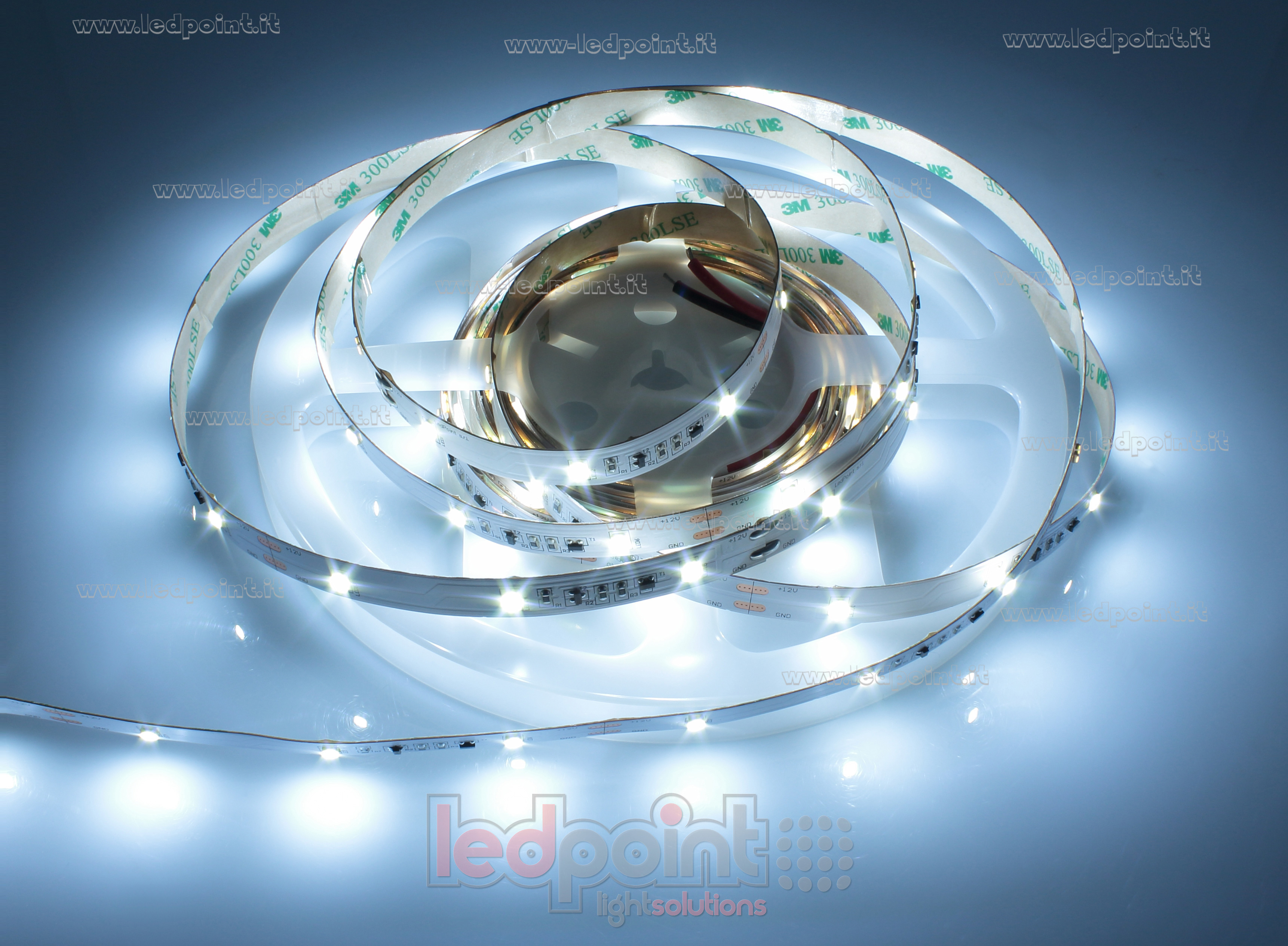 Ledpoint S.r.l. | LED strip 5m cool white 6000-6500K 30leds/m Honglitronic 2835 12V 7,2W/m ...