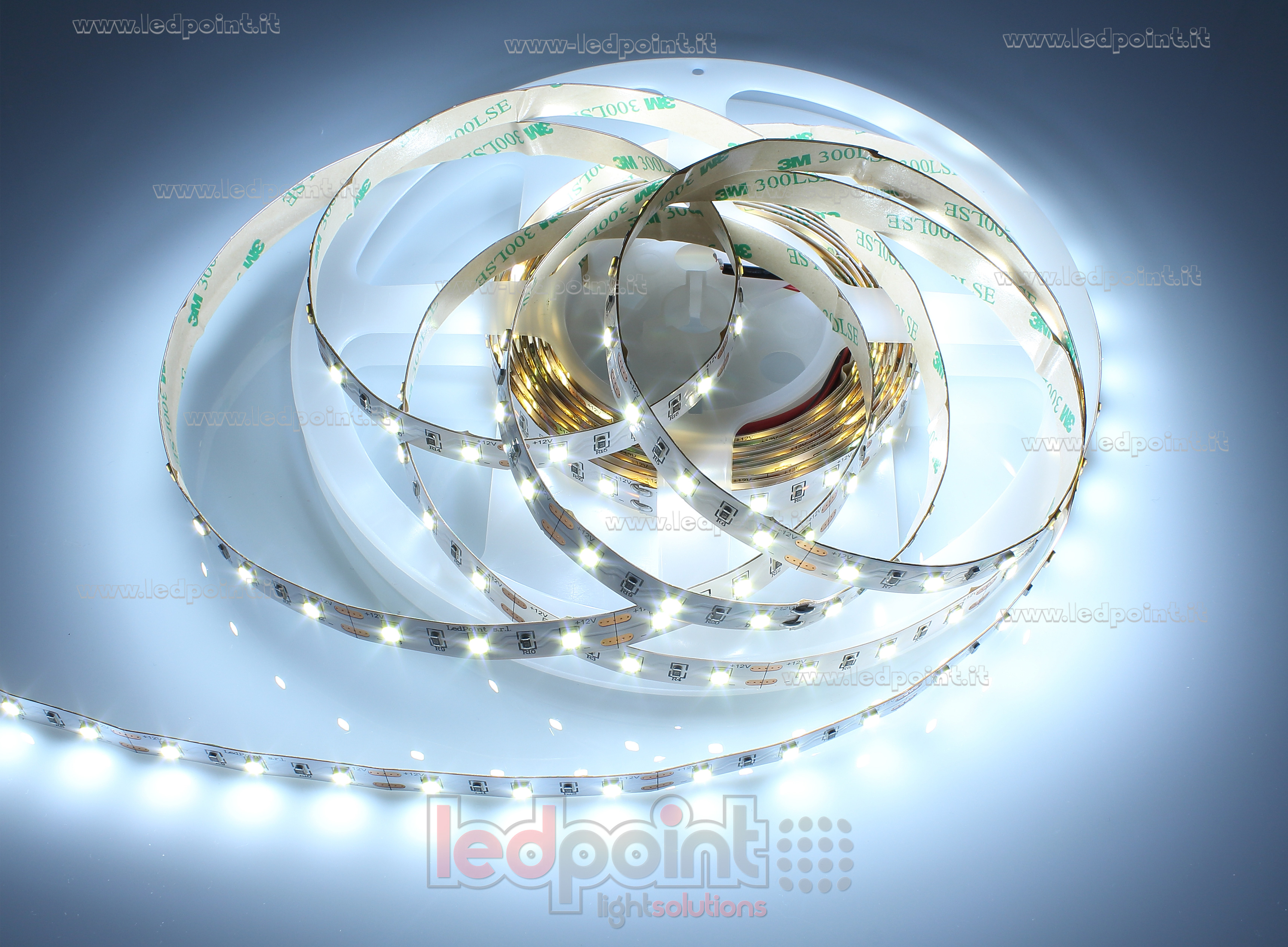 Ledpoint S.r.l. | LED strip 5m cool white 6000-6500K 2835 60led/m IP67 ...