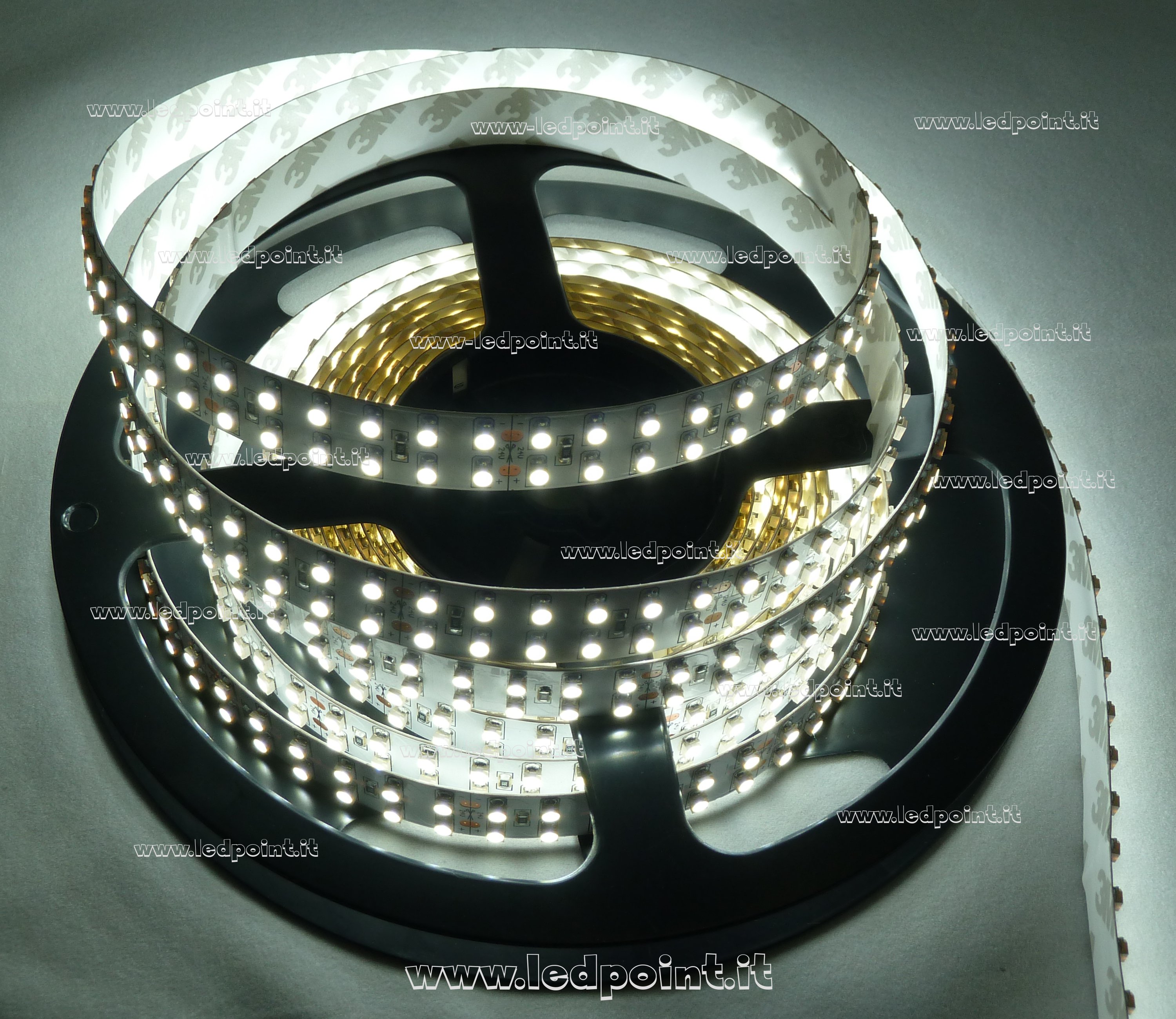 Ledpoint S.r.l. | Striscia led 5m bianco freddo 3528 240led/m doppia linea 24V