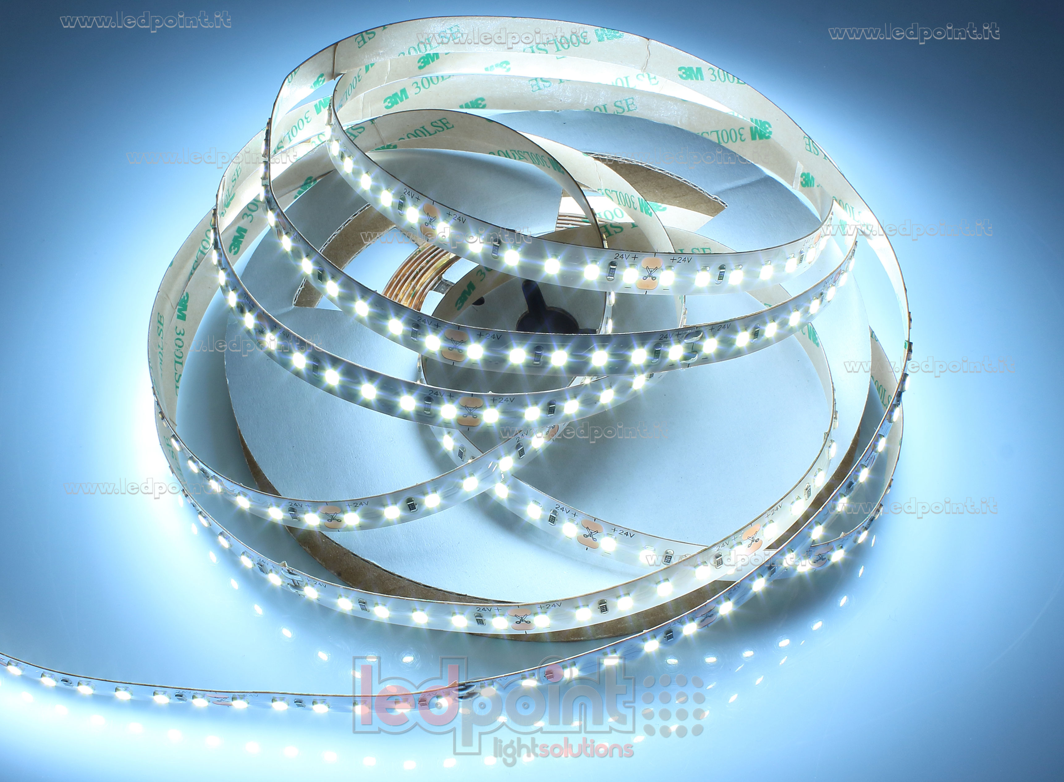 Ledpoint S.r.l. | LED strip 5m white 6500-7000K 2835 120led/m 24V 14,4W/m