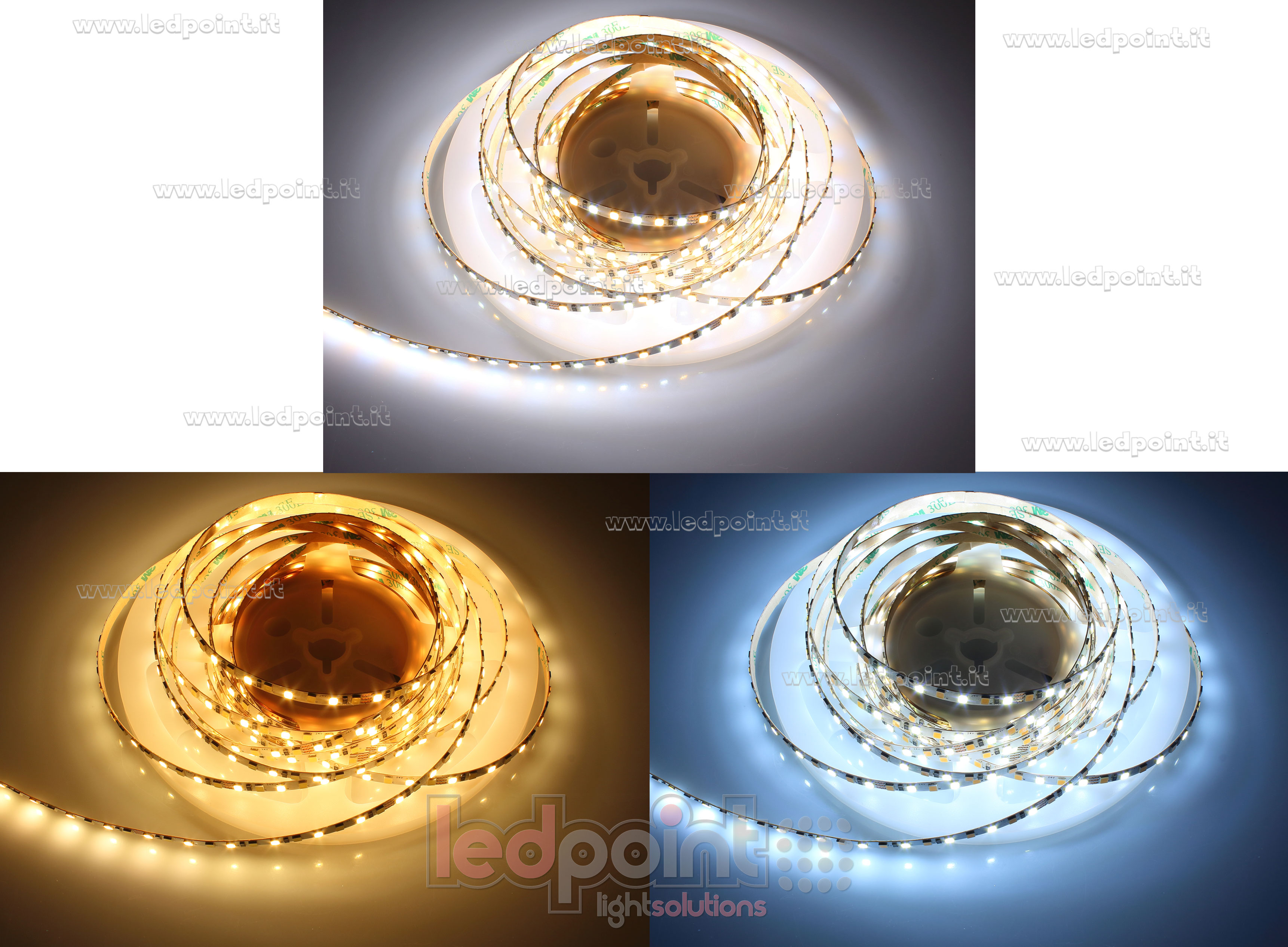 Ledpoint S.r.l. | LED strip 5m CCT 2700K-6500K 3step 144leds/m 2835 ...