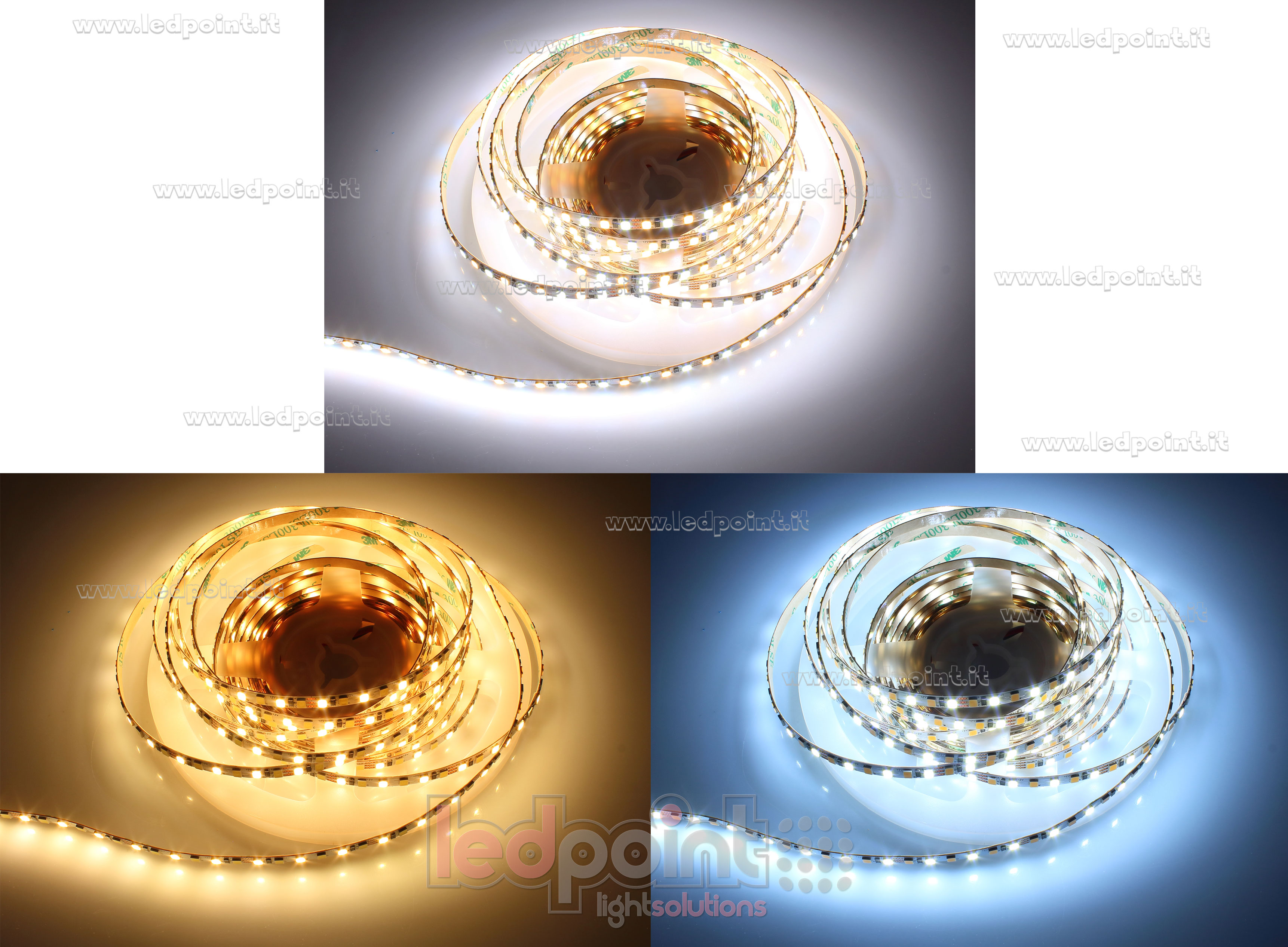 Ledpoint S.r.l. | LED strip 5m CCT 2700K-6500K 3step 156leds/m 2835 ...