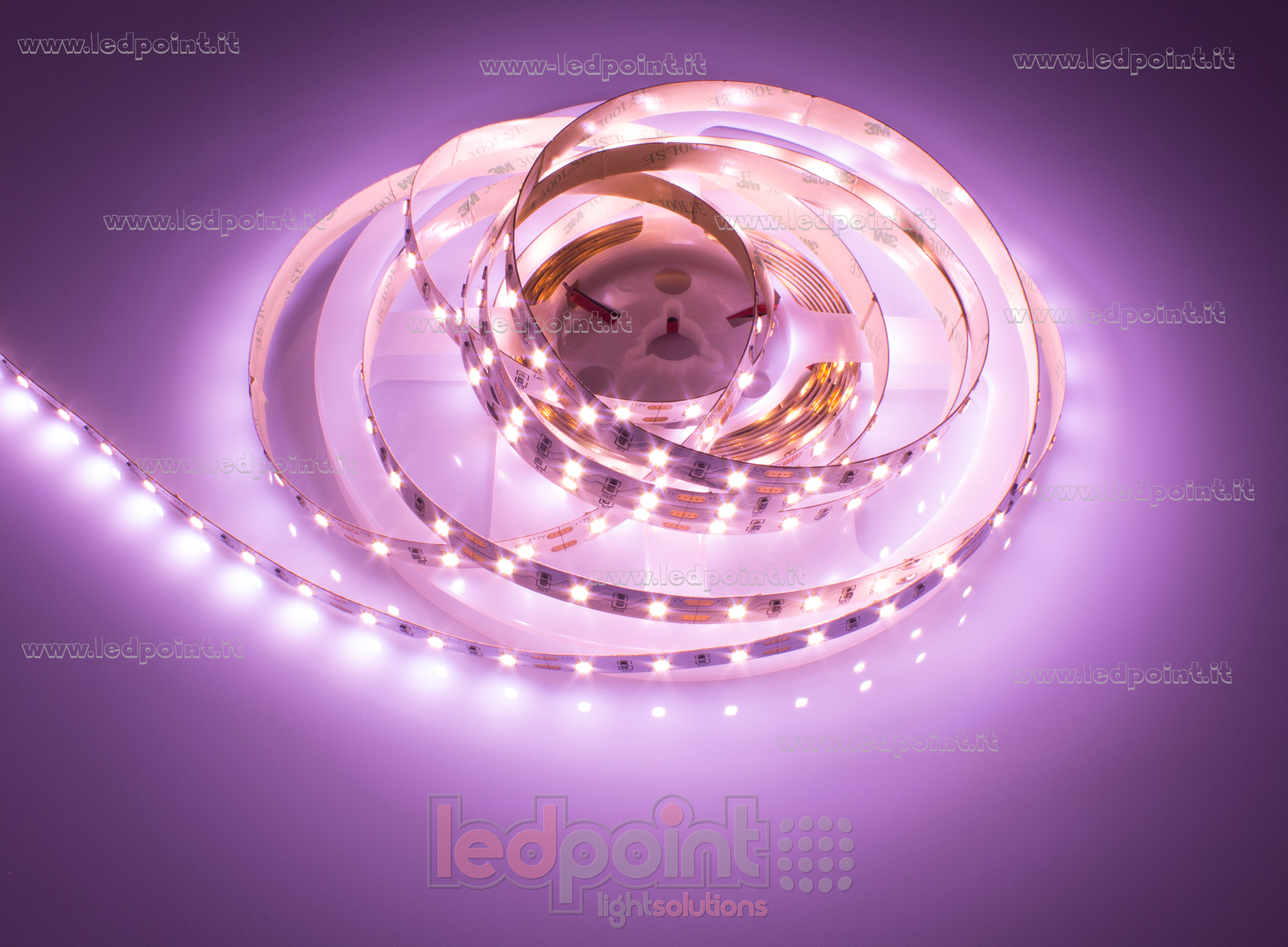 Ledpoint S.r.l. | Pink LED strip for meat 5m 60leds/m 2835 12V 14,4W/m