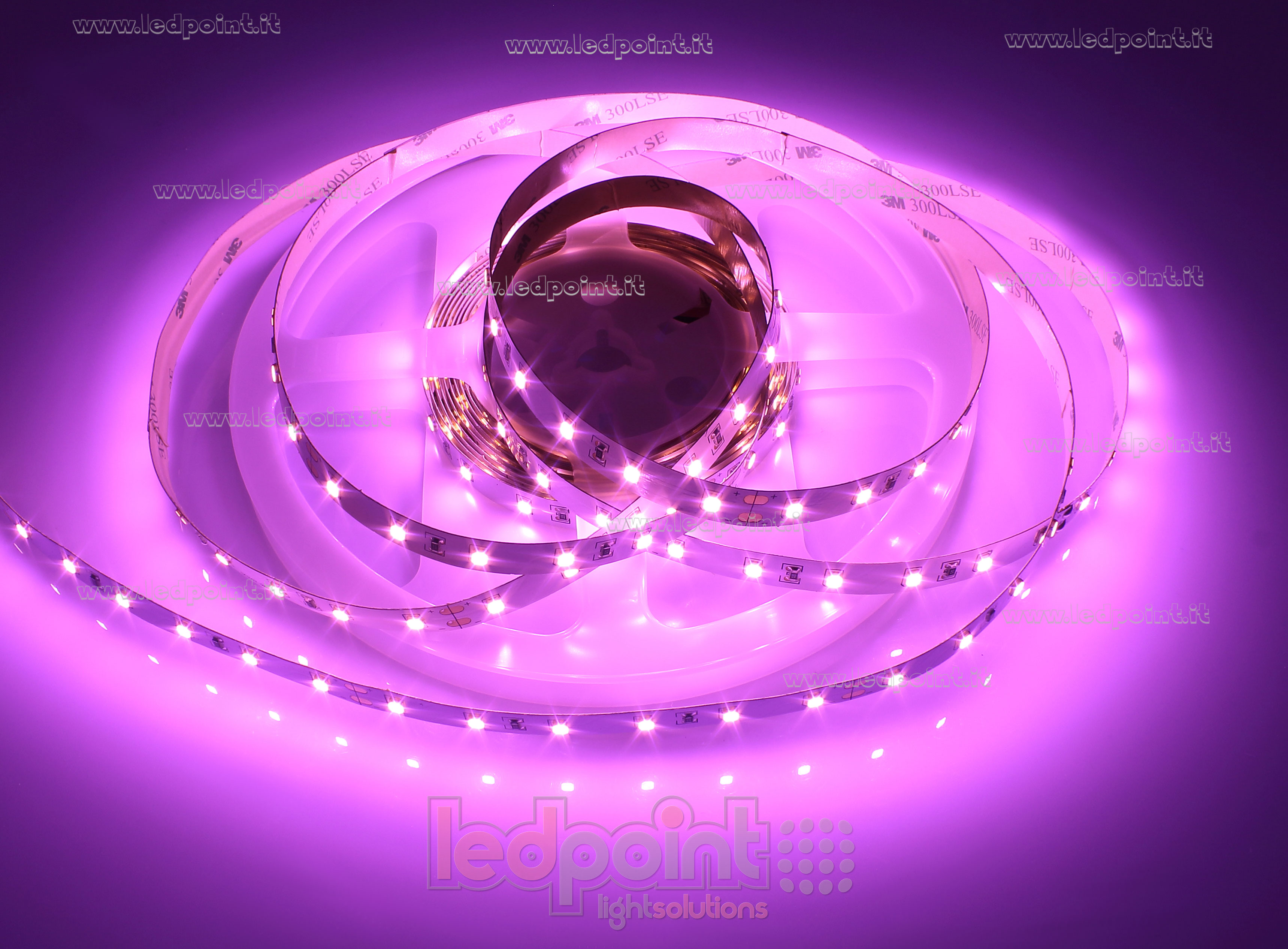 Ledpoint S.r.l. | Pink led strip 5m 60leds/m 2835 24V 7,2W/m