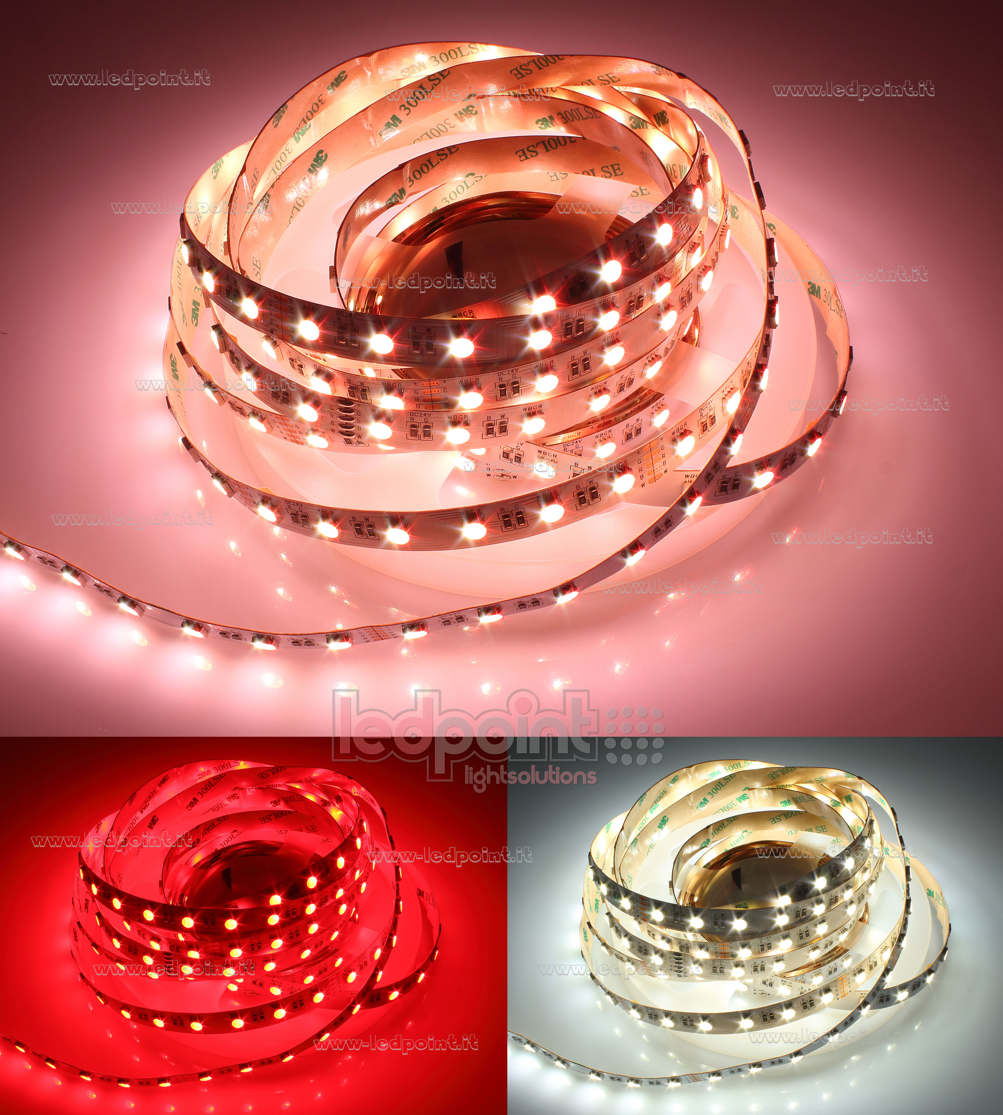 Ledpoint S.r.l. | Led strip 5m 5050 4in1 RGB + white 4000K 60led/m 24V ...