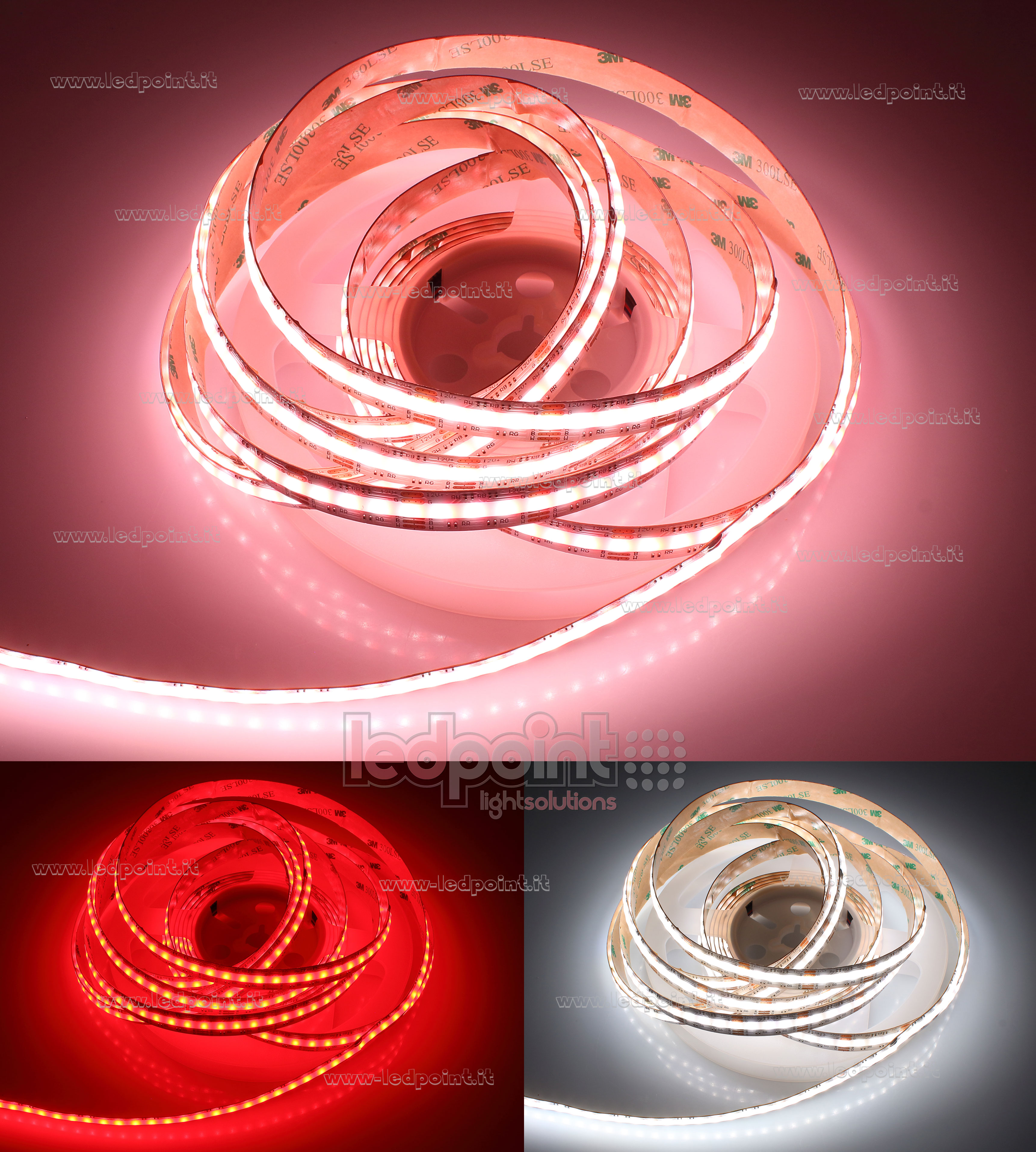 Ledpoint S.r.l. | COB RGB + white 4000K led strip 5m 576ed/m 12V 15,2W/m